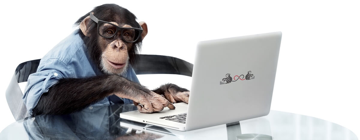 Services | An Infinite Number of Monkeys